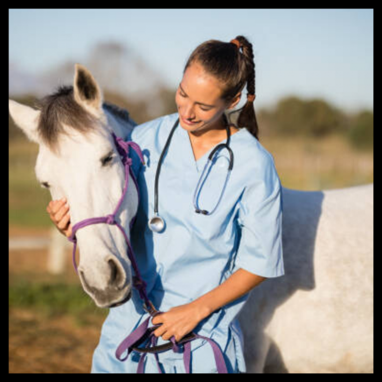 Equine Emergency First Aid – Pet Emergency Academy