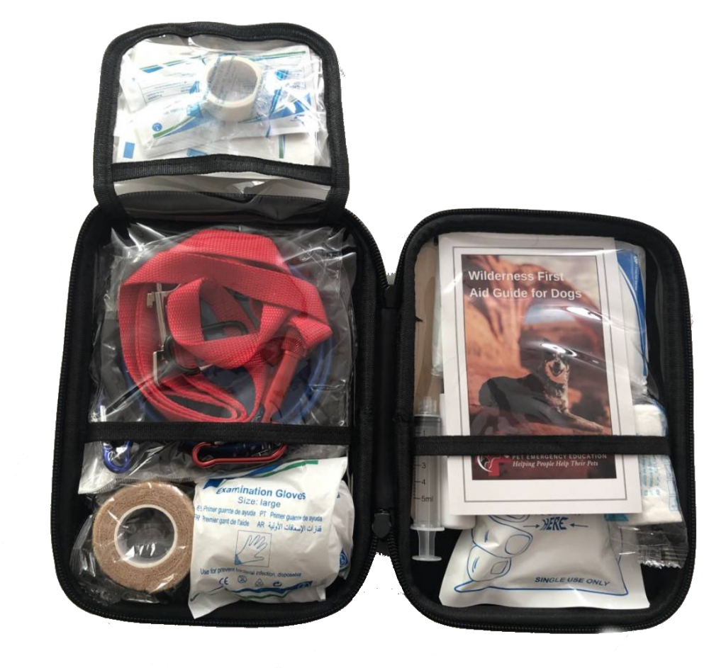 Canine Wilderness Emergency First Aid Course (SKU-CANWILD) – Pet ...