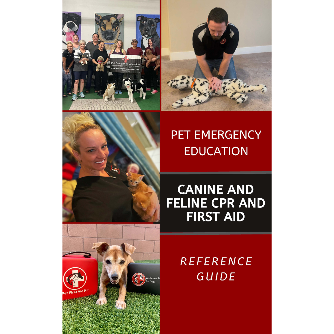 Canine and Feline First Aid – Pet Emergency Academy