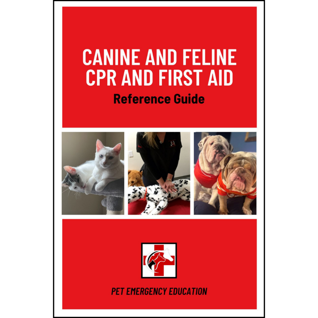 Virtual ZOOM Canine and Feline CPR and First Aid Class – Pet Emergency ...