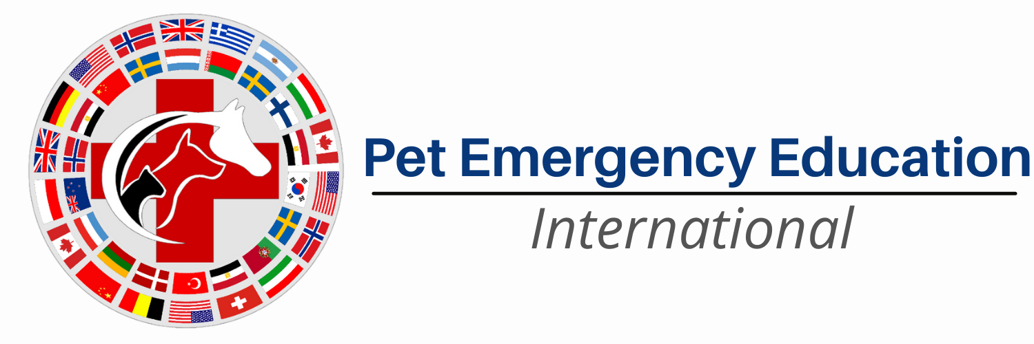 Pet Emergency Education On-Demand Academy – Helping People Help Their Pets