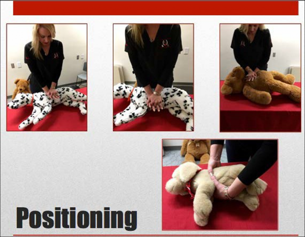 PCPR- Lesson 3- Positioning – Pet Emergency Academy
