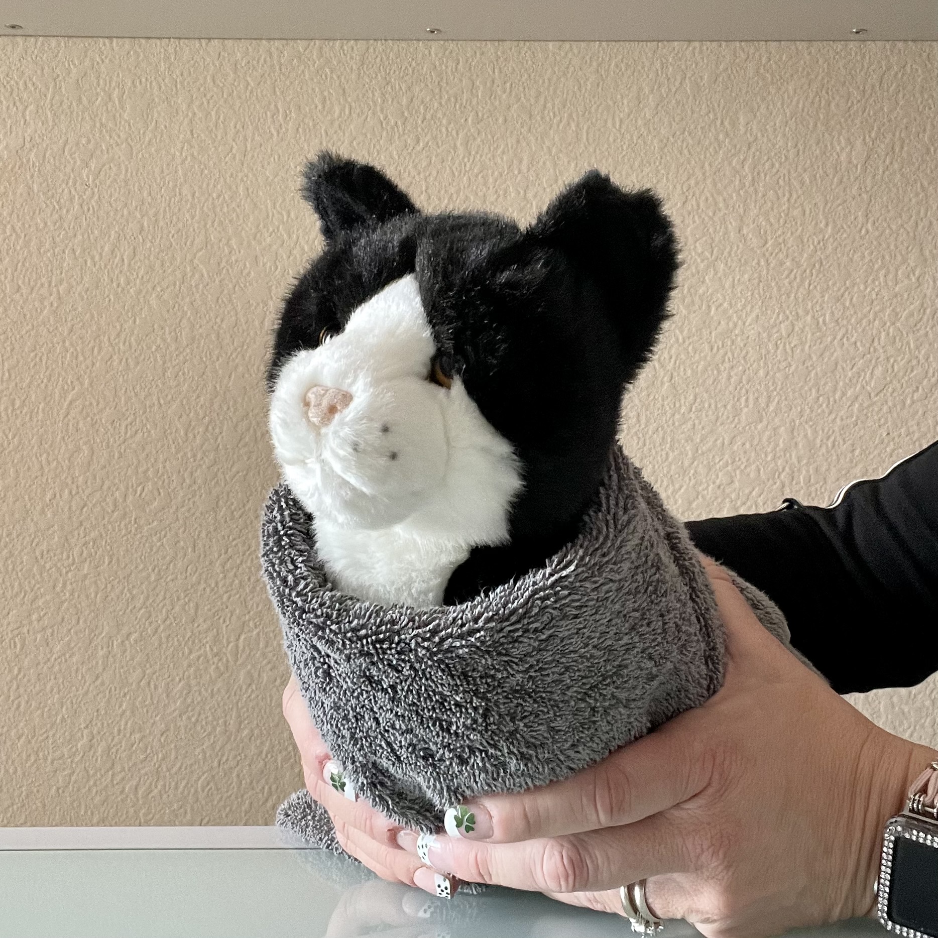 PCPR- Lesson 1- Safely Restraining Cats – Pet Emergency Academy