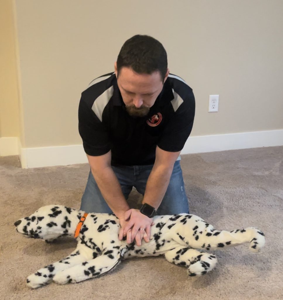Canine and Feline CPR and First Aid Certification Class- Health ...